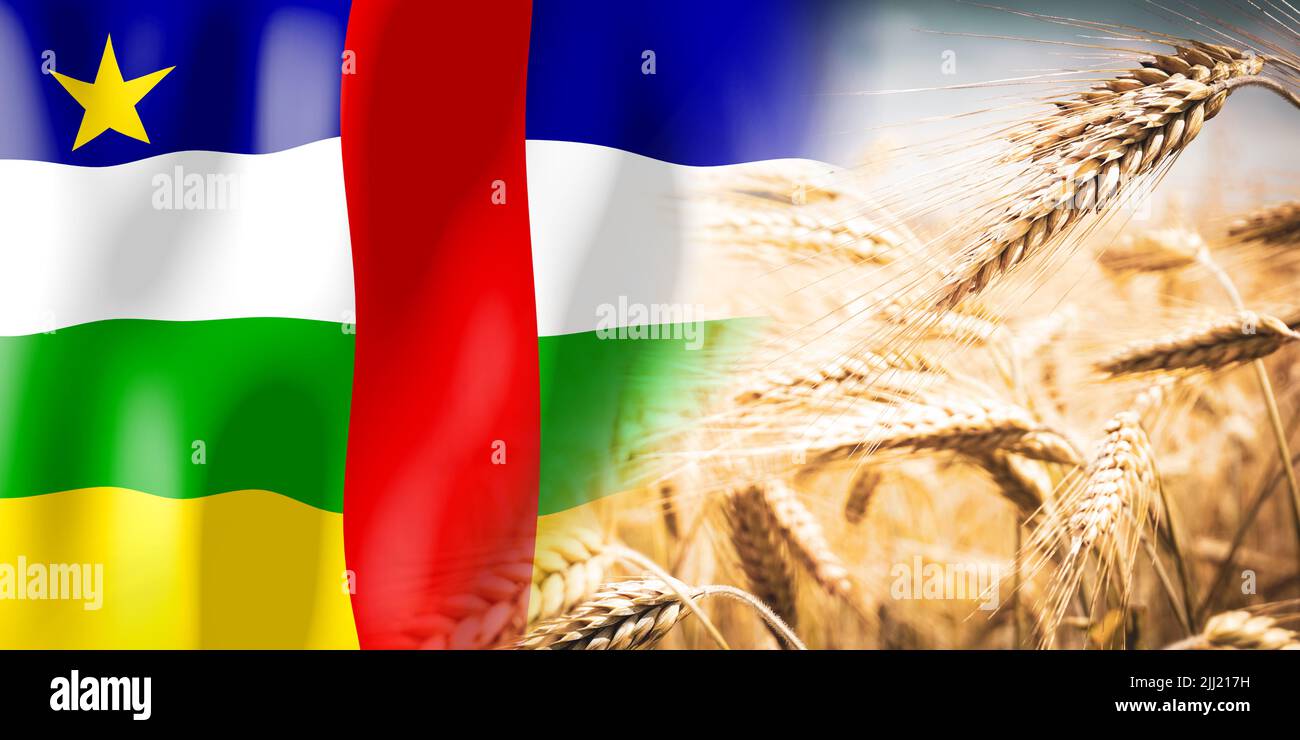 Central African Republic - flag and ripe rye field - crops, cereal ...