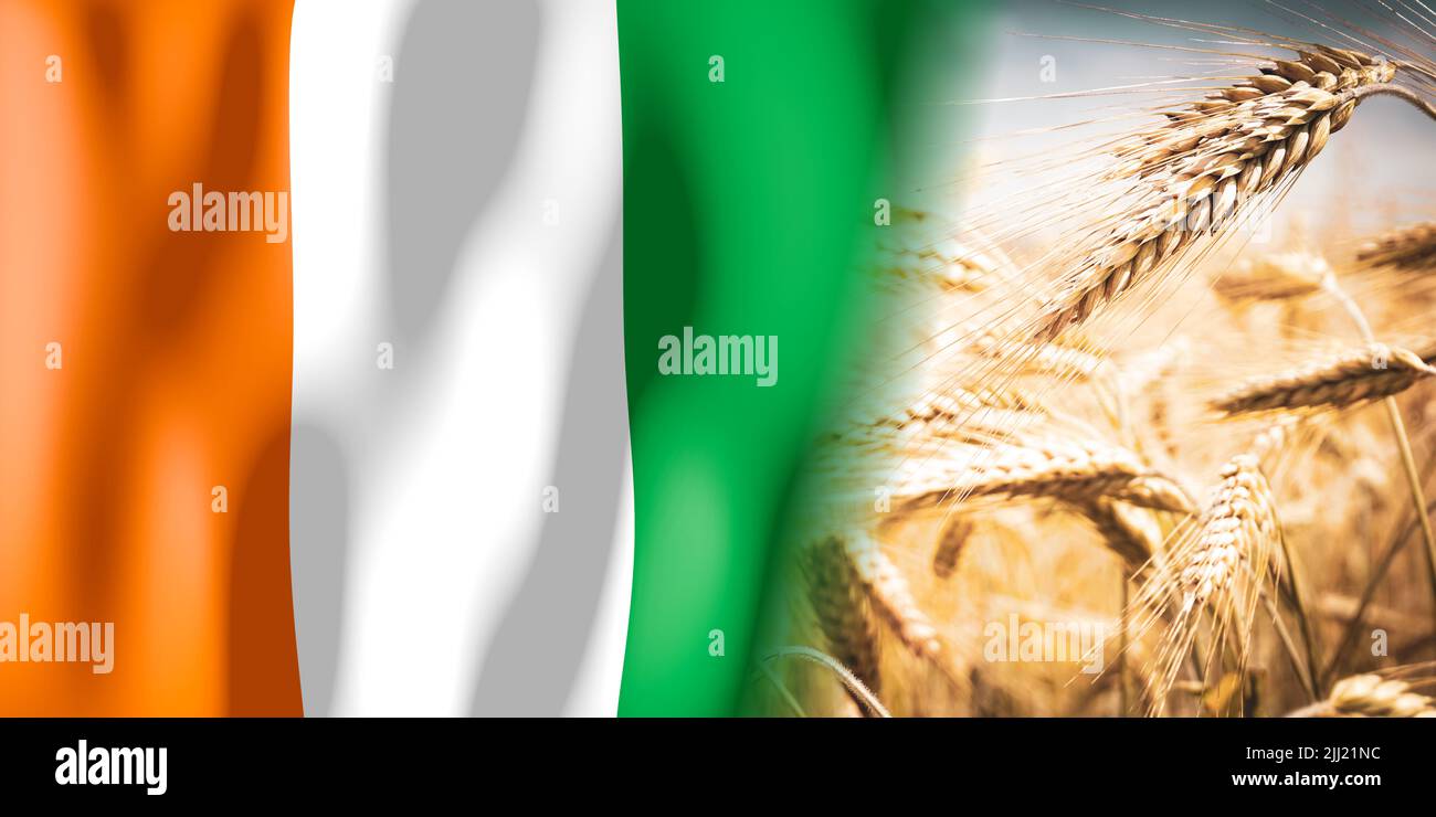 Ivory Coast - flag and ripe rye field - crops, cereal, harvest concept ...
