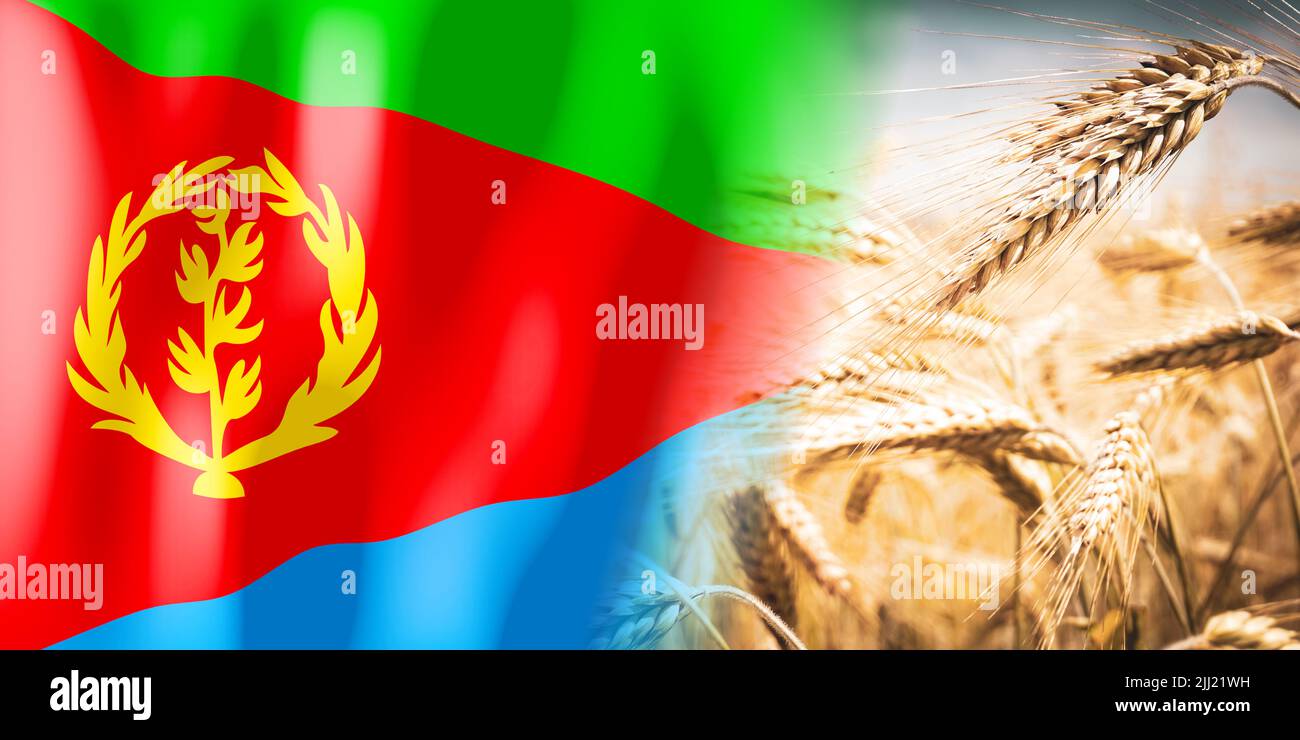 Eritrea - flag and ripe rye field - crops, cereal, harvest concept ...