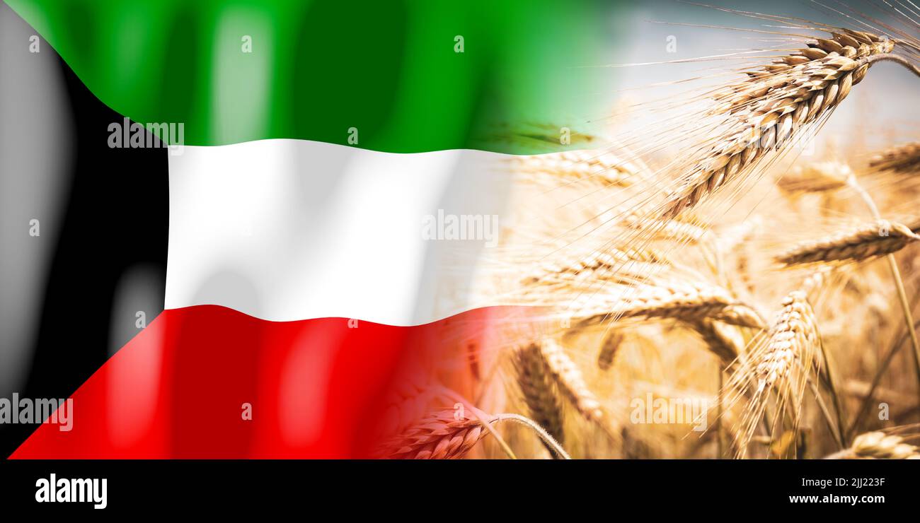 Kuwait - flag and ripe rye field - crops, cereal, harvest concept Stock ...