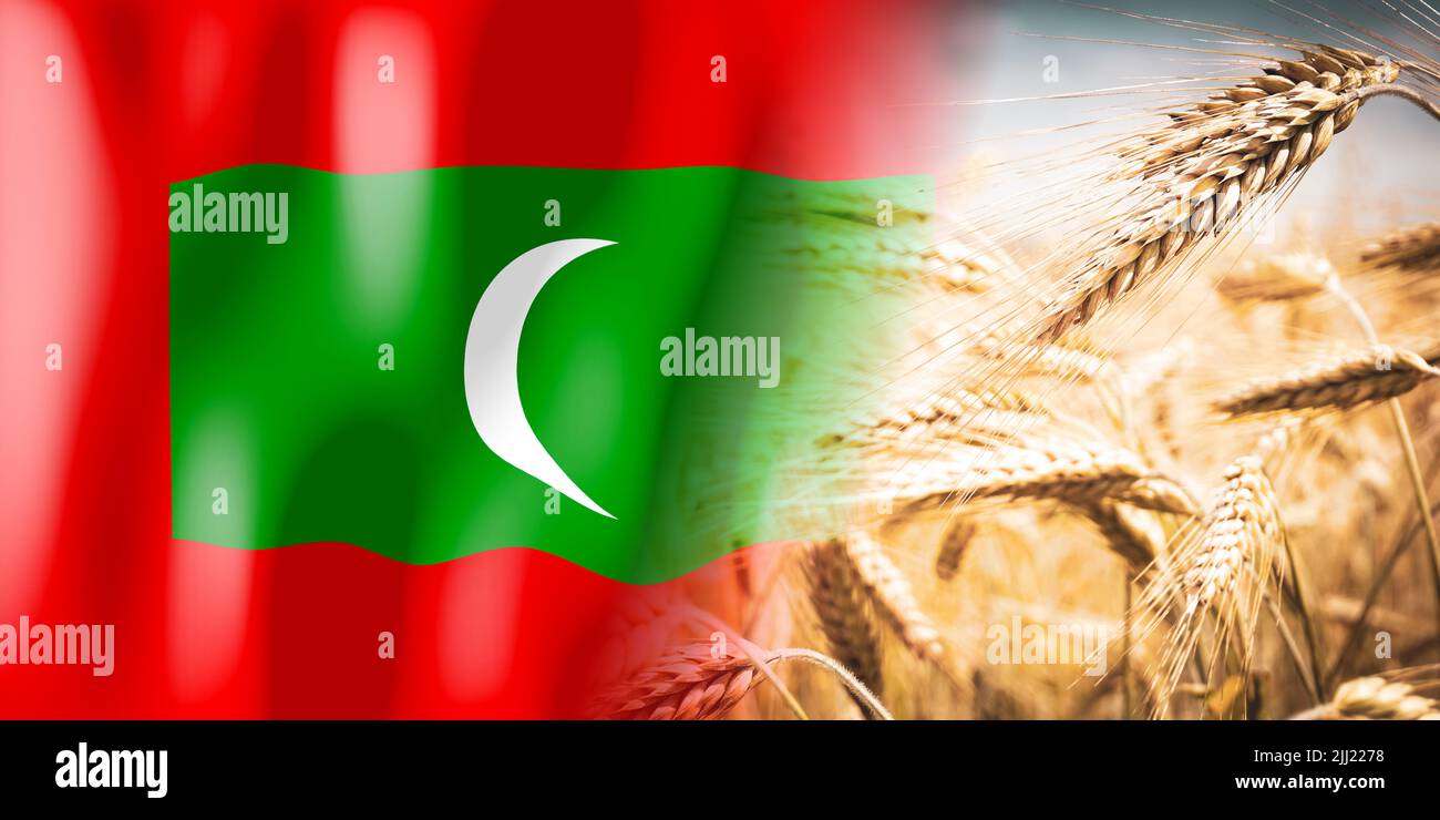 Maldives - flag and ripe rye field - crops, cereal, harvest concept ...