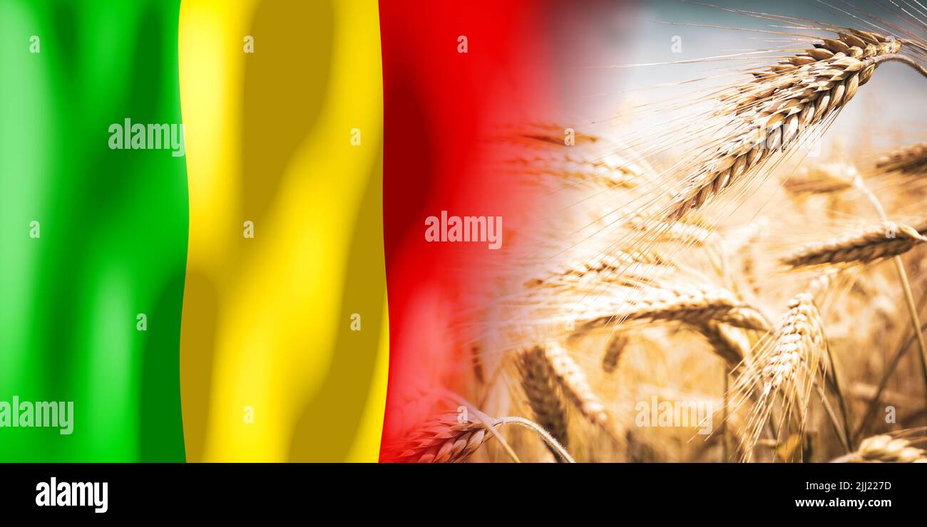 Mali - flag and ripe rye field - crops, cereal, harvest concept Stock ...
