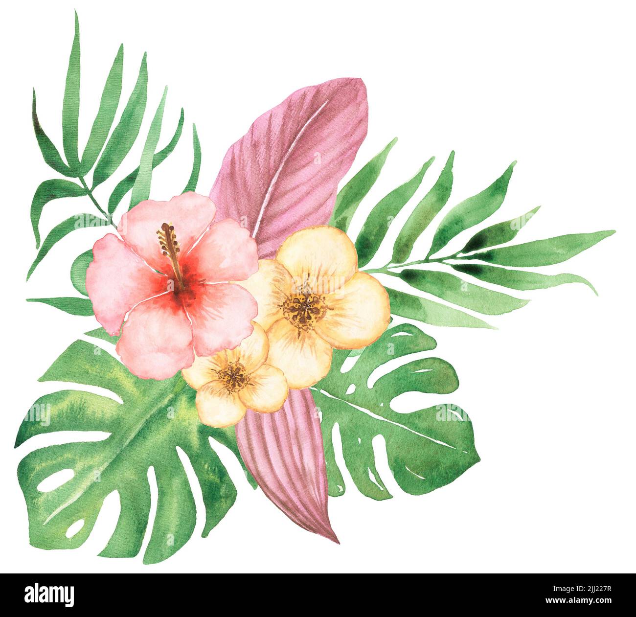 Tropical Flowers Clip Art Tropical Flower Clip Art Images Free