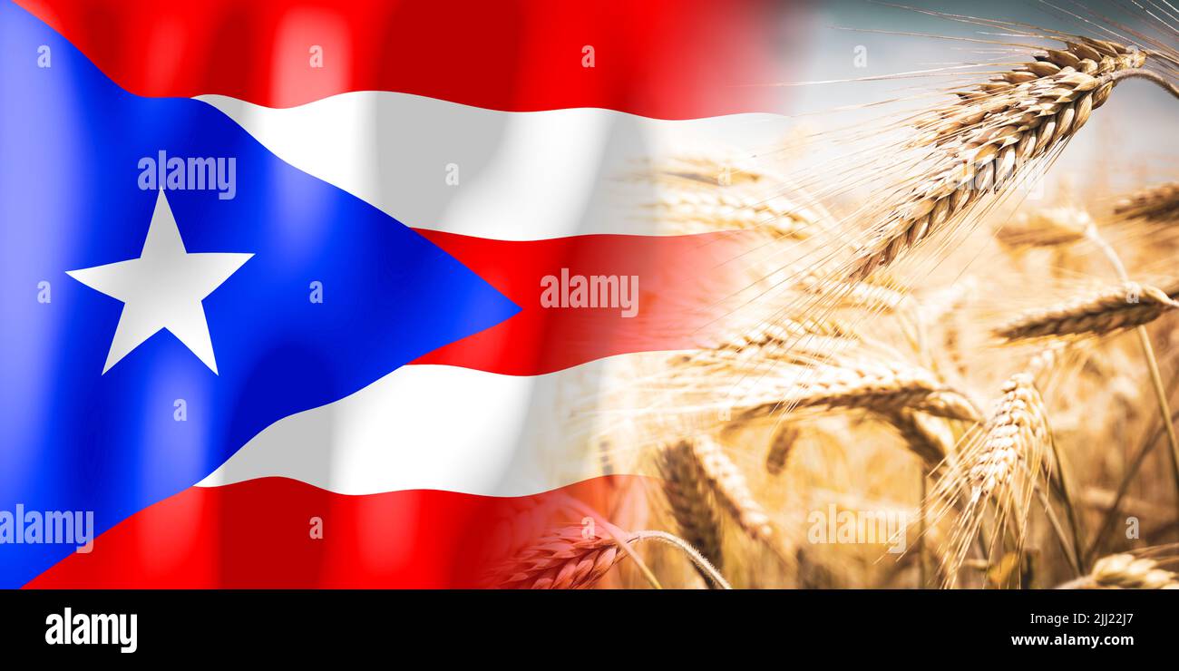 Puerto Rico - flag and ripe rye field - crops, cereal, harvest concept ...