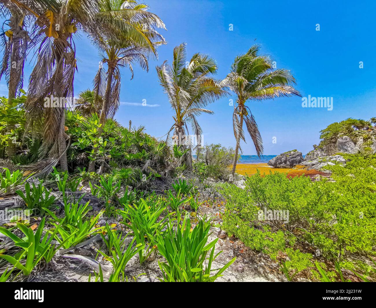 Natural seascape and beach panorama view at the ancient Tulum ruins ...