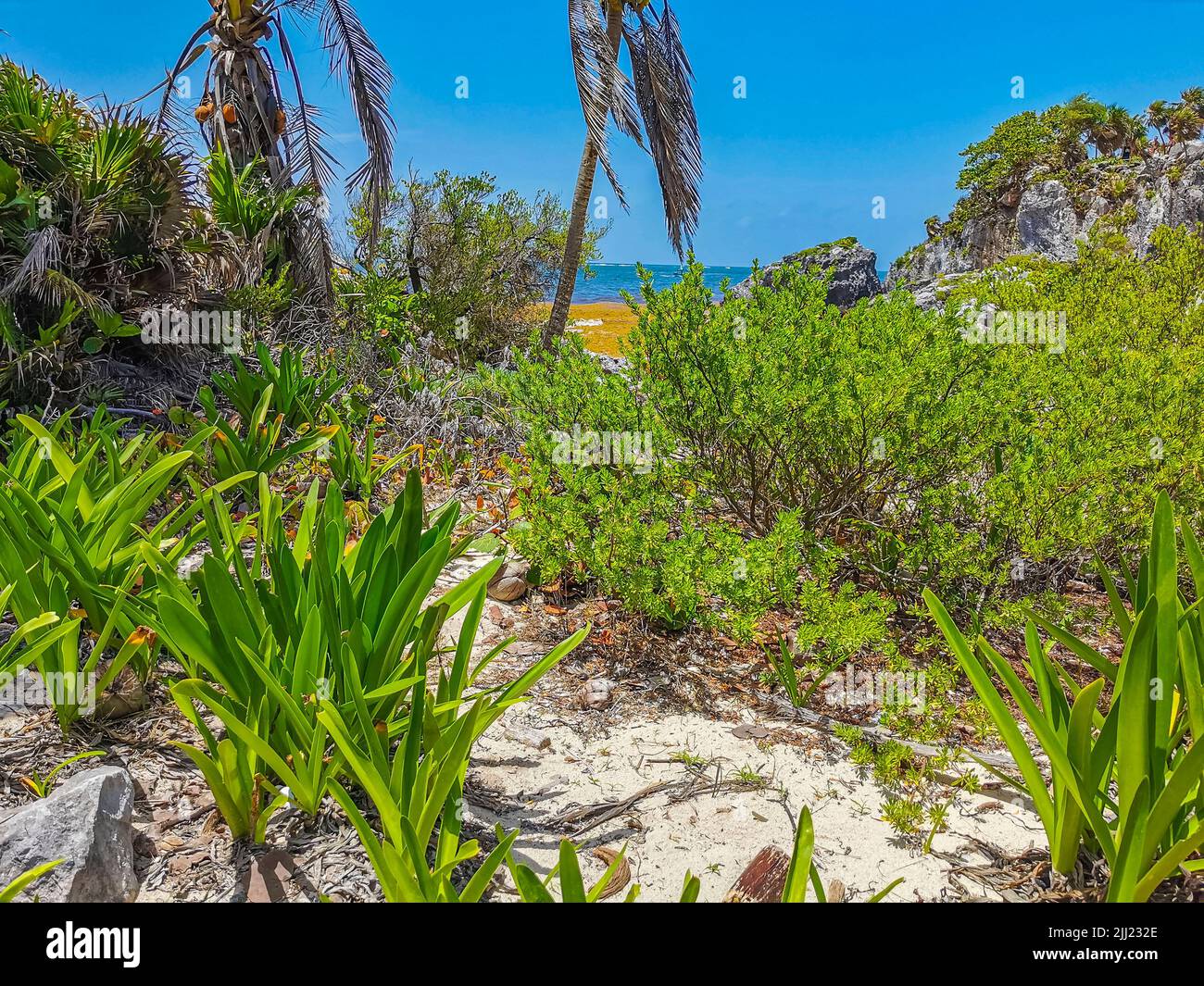 Natural seascape and beach panorama view at the ancient Tulum ruins ...