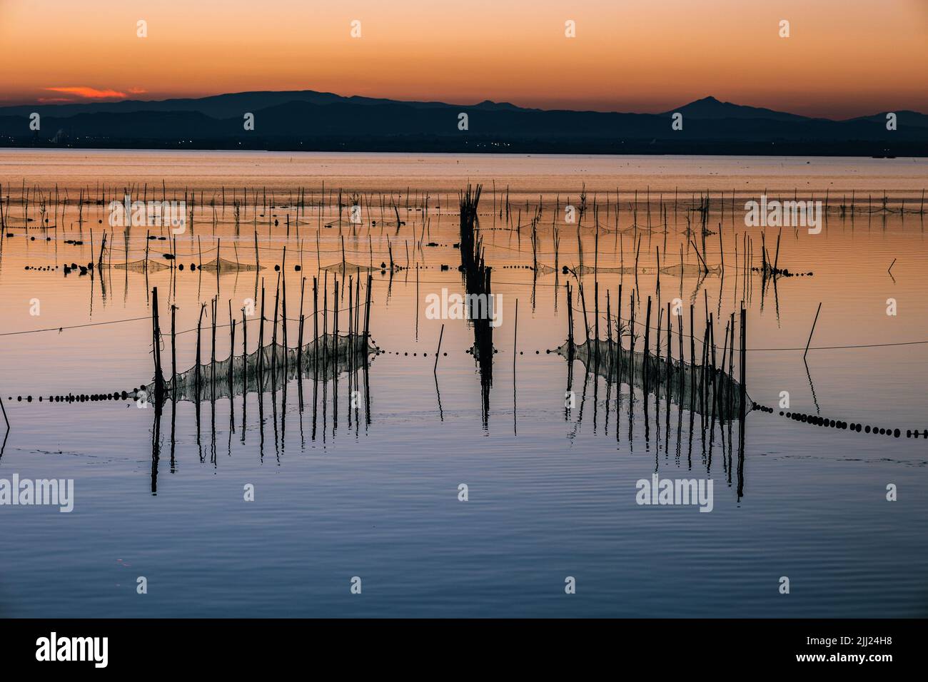 A scenic shot of silhouettes of sticks at Albufera Lagoon in Valencia ...
