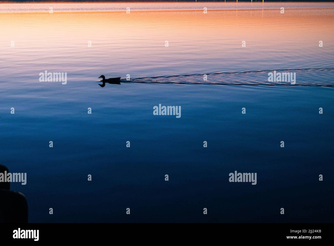 A scenic shot of the calm waters of Albufera Lagoon in Valencia, Spain ...