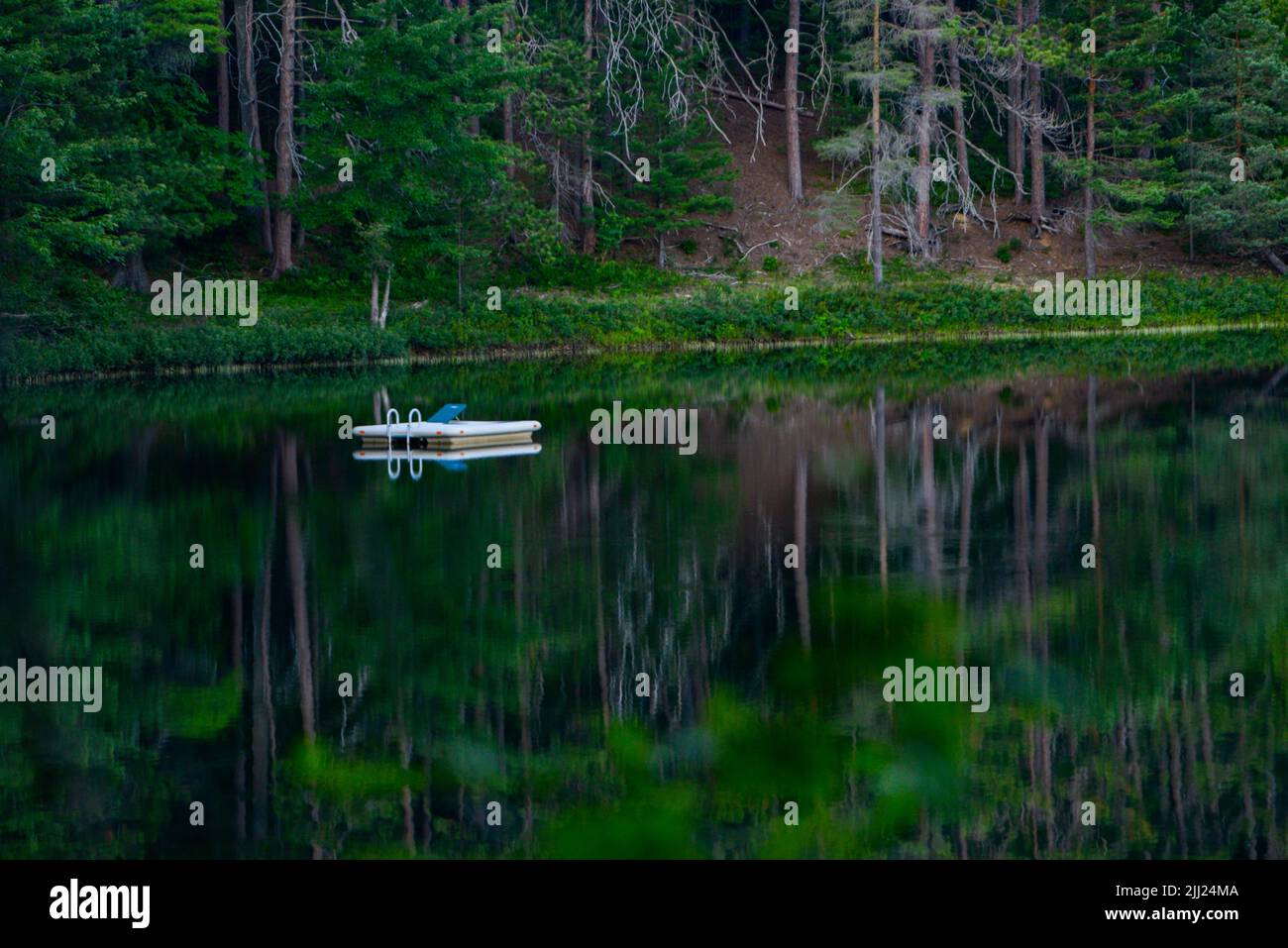 A floating platform on a lake near a green forest Stock Photo - Alamy