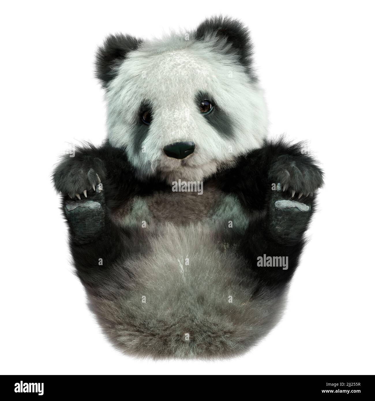 3D rendering of a panda bear isolated on white background Stock Photo ...
