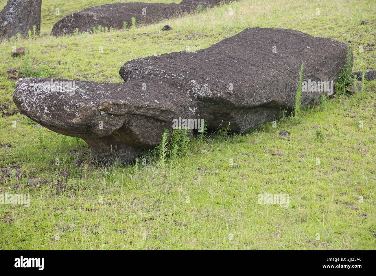 Puna pau chile hi-res stock photography and images - Alamy