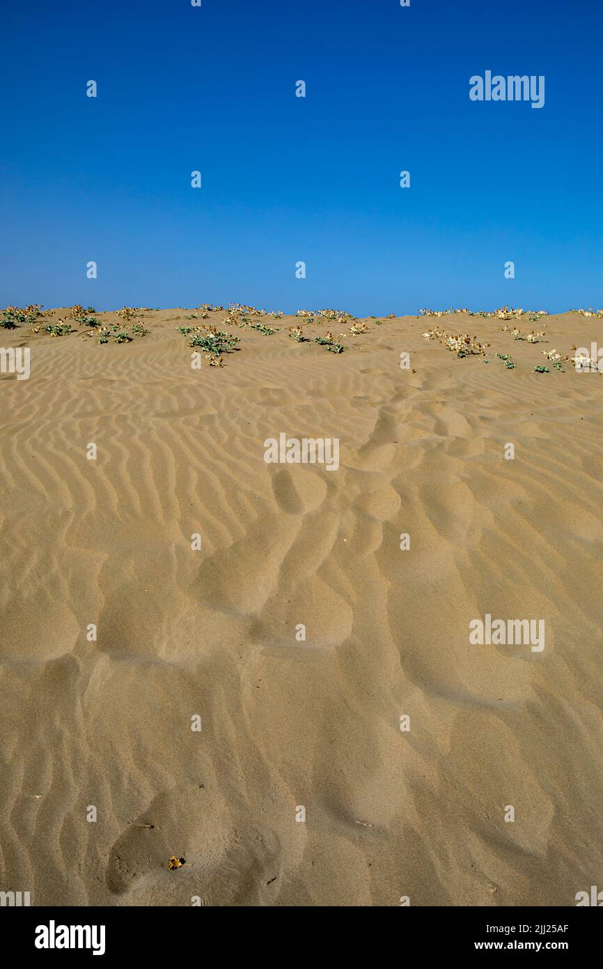Macheria beach on Rhodos island, Dodecanese, day time Stock Photo - Alamy