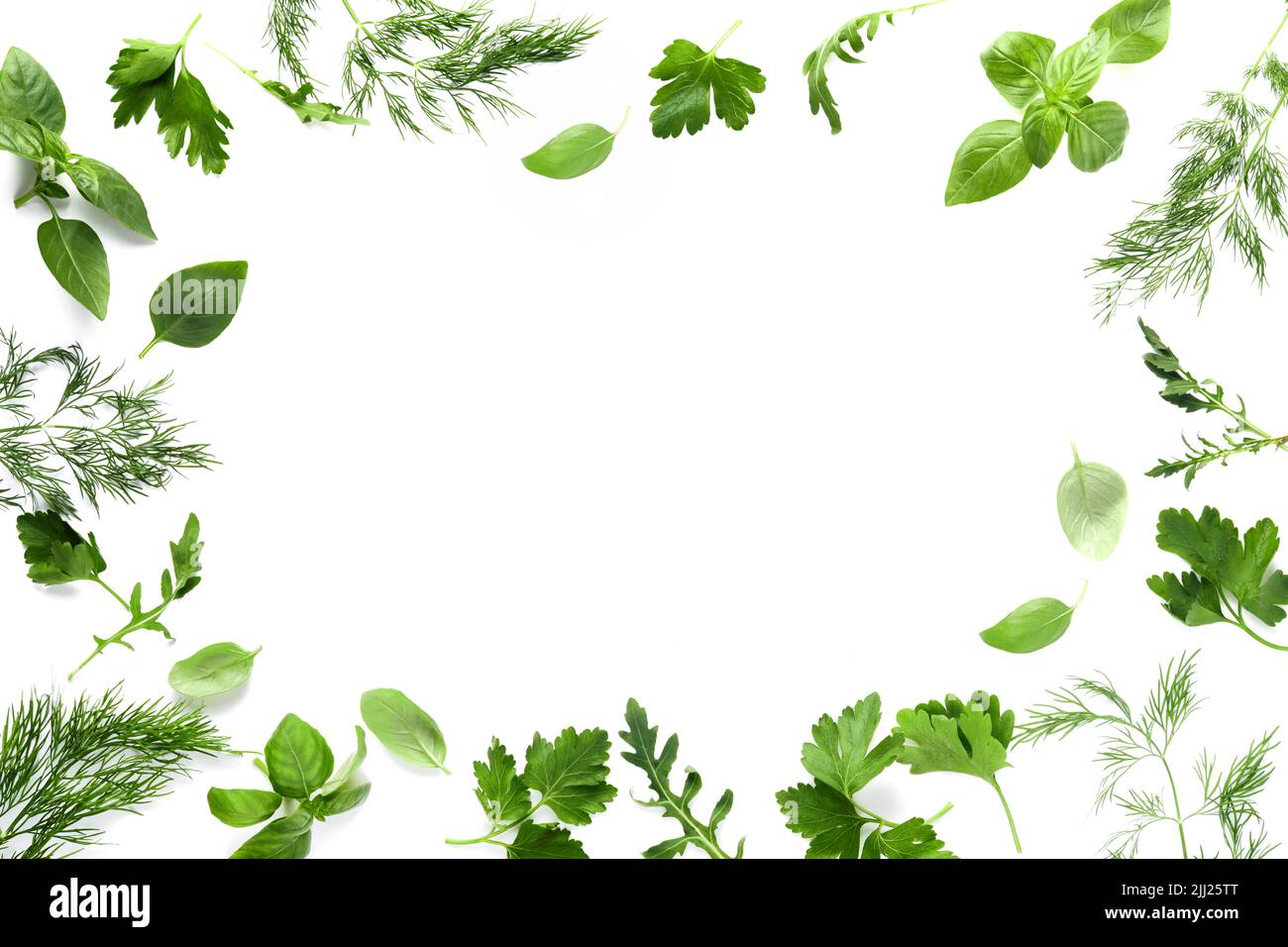 Fresh green herbs. Frame of fresh basil, dill, sage, parsley, arugula ...