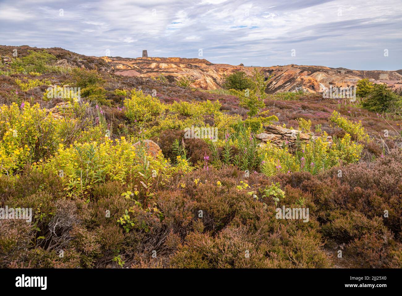 Parys Mountain open cast copper mine, Anglesey, North Wales Stock Photo ...