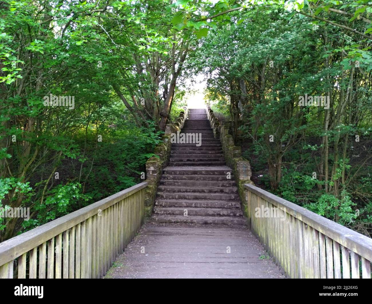 A beautiful landscape of a green park with stairs ascending from a ...