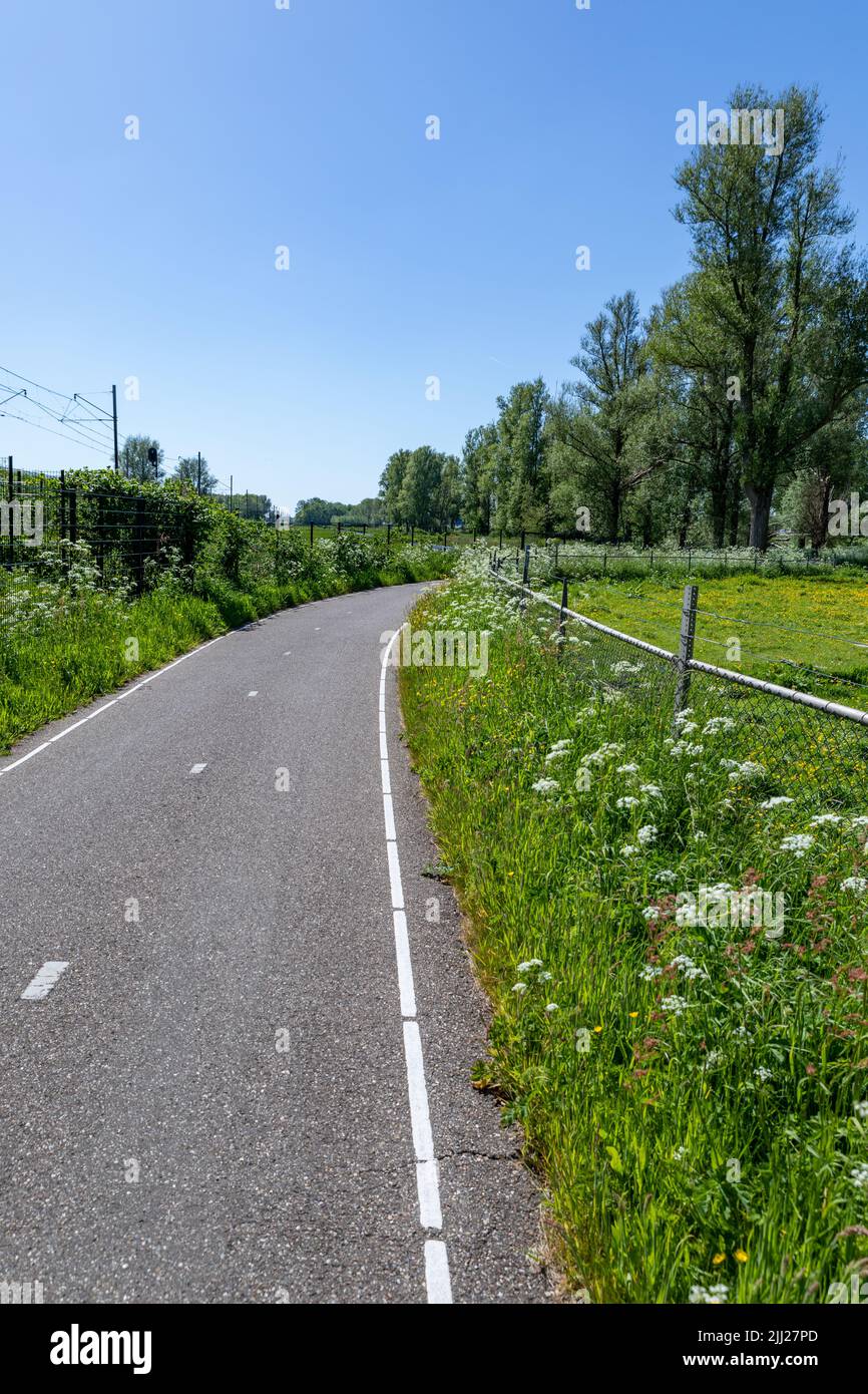 A neatly 2 lane asphalted cycle path along the A44 and the meadows ...