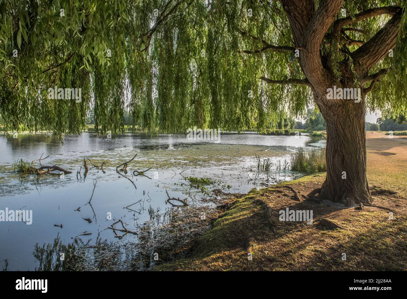 Walking under shade hi-res stock photography and images - Alamy