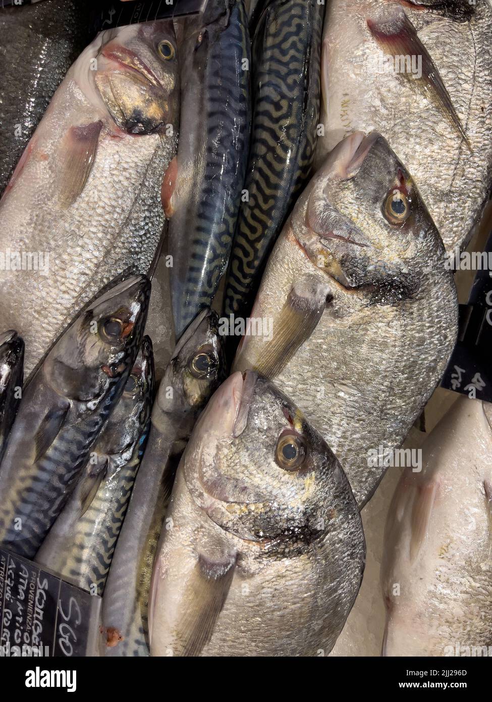 in the displays of a fishmonger lies a lot of fresh fish Stock Photo ...