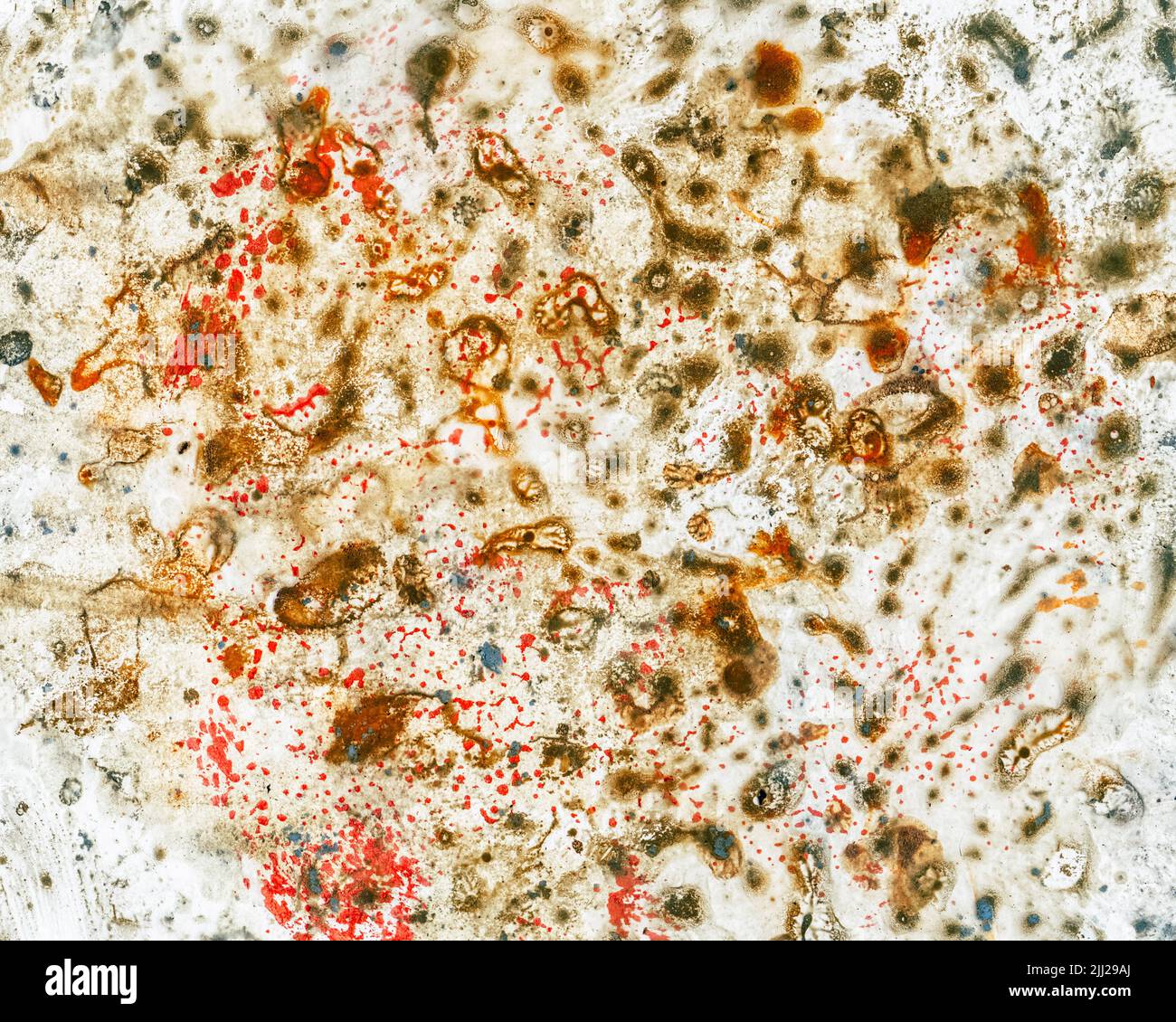 Modern virus hi-res stock photography and images - Alamy