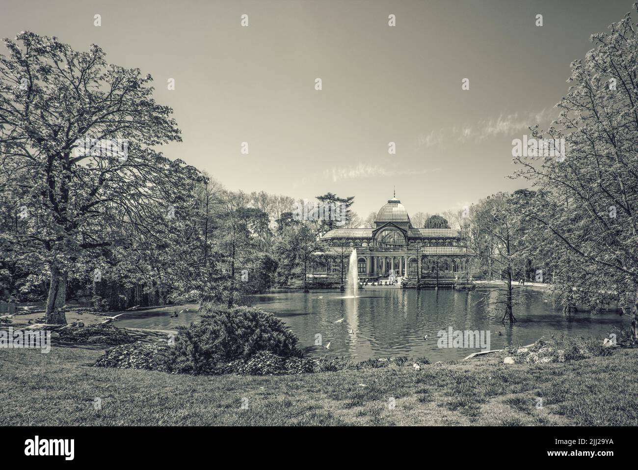 Black and white landscape of Parque del Retiro lake with Crystal Palace ...