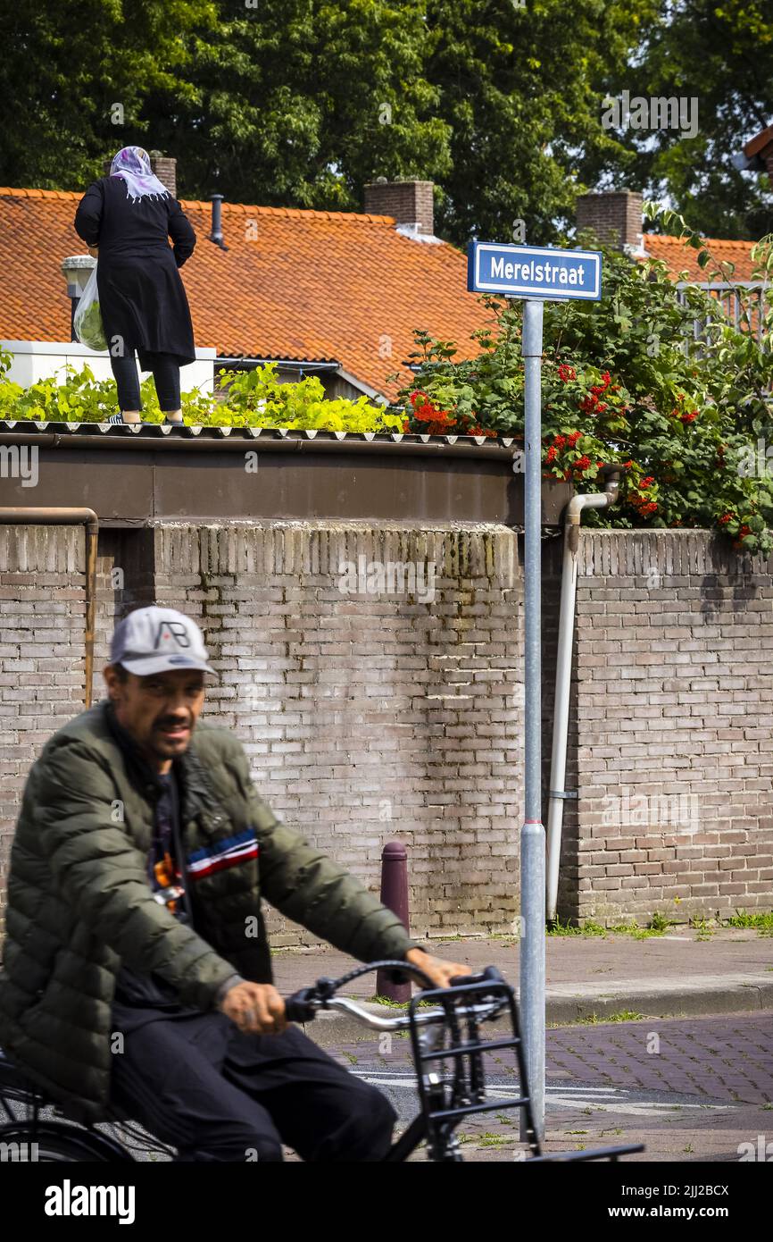 52 oss hi-res stock photography and images - Alamy