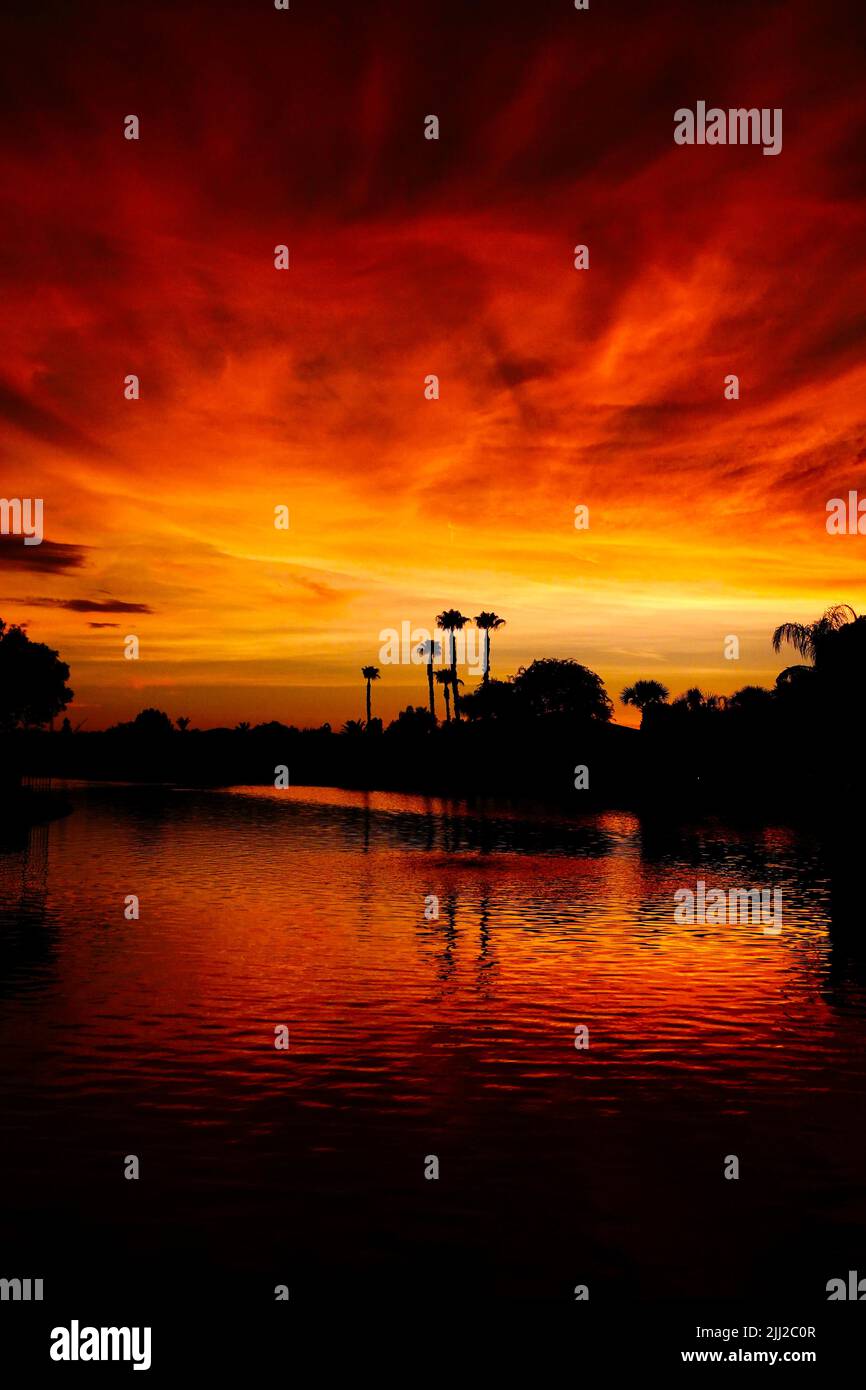 A silhouette of palm trees reflecting on water at sunset Stock Photo ...