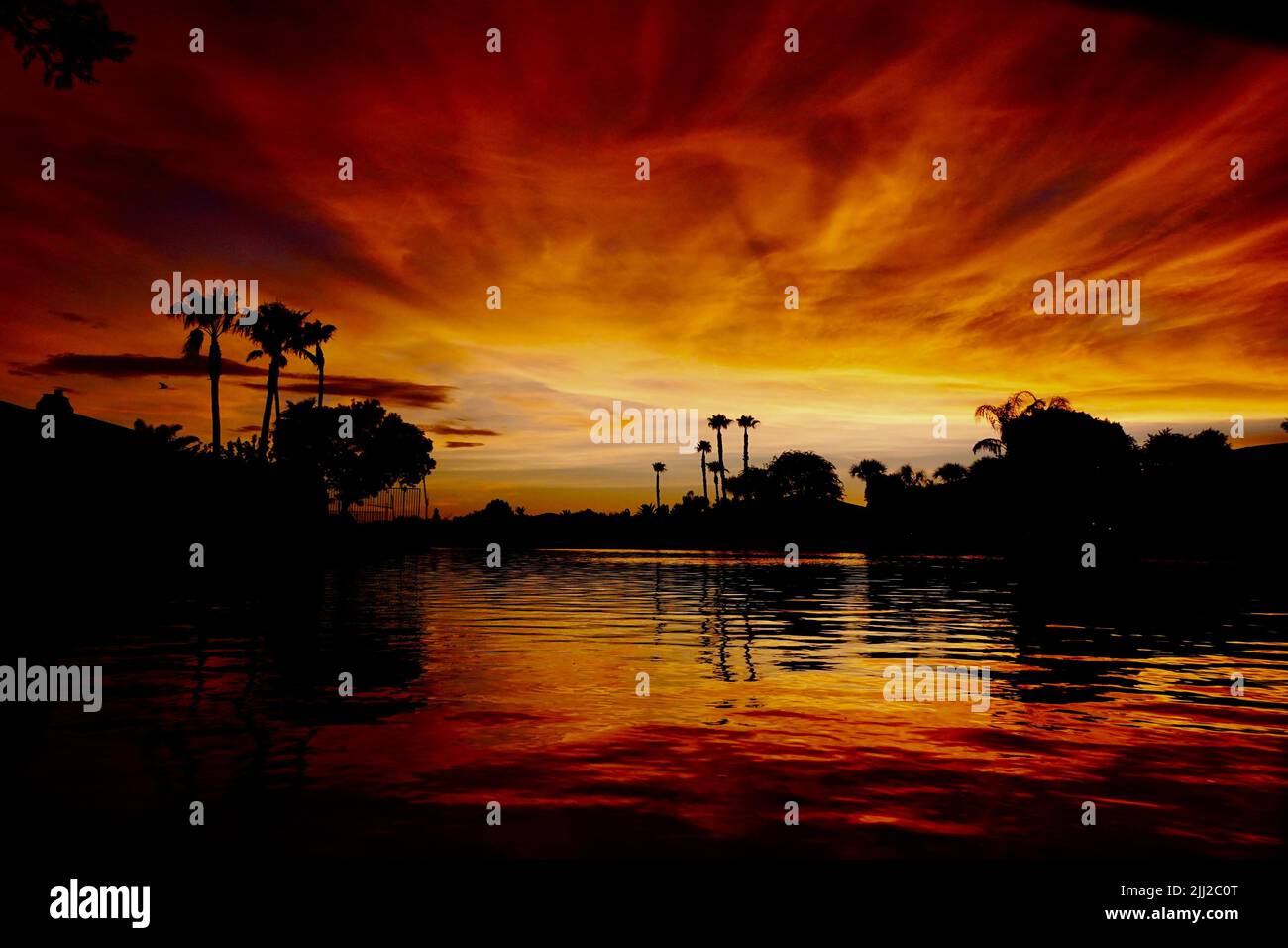 A silhouette of palm trees reflecting on water at sunset Stock Photo ...
