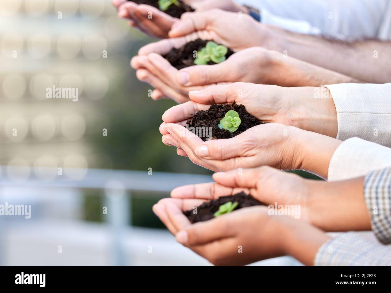 Growth is a learning experience. a group of unrecognizable ...