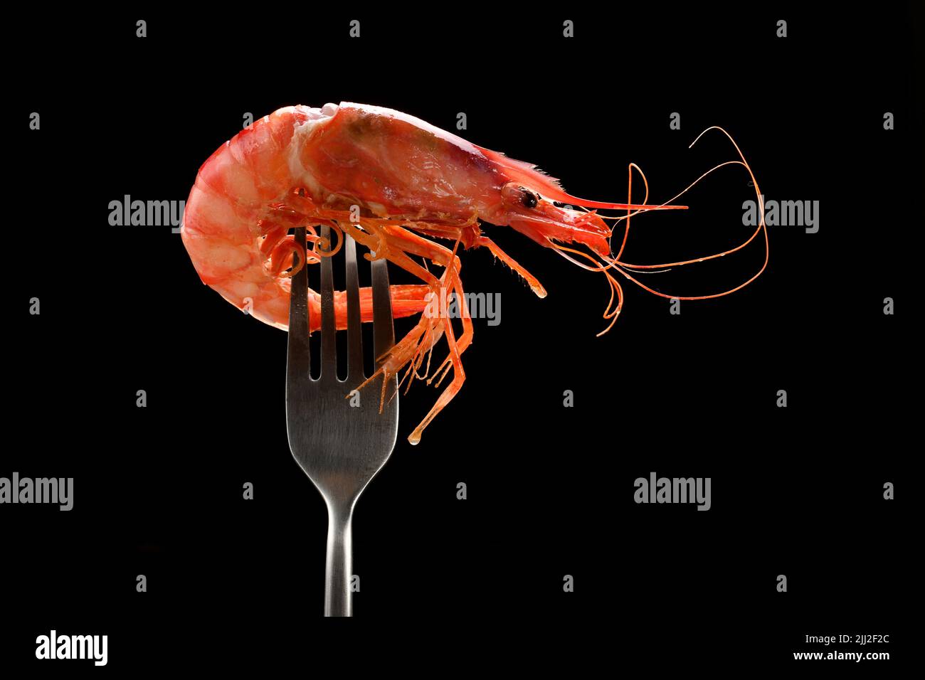 cooked red shrimp on fork isolated on black background Stock Photo - Alamy