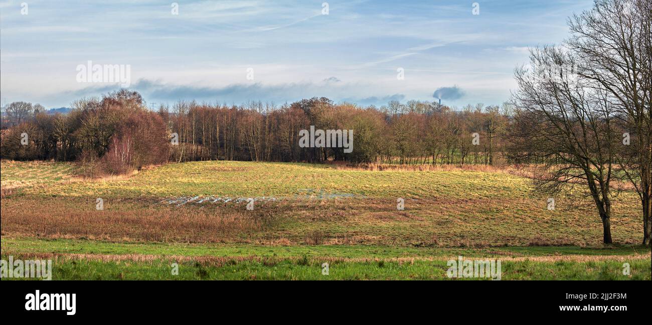 Farmland with grassy meadows and forest trees with a cloudy blue sky copy space. Landscape with ...
