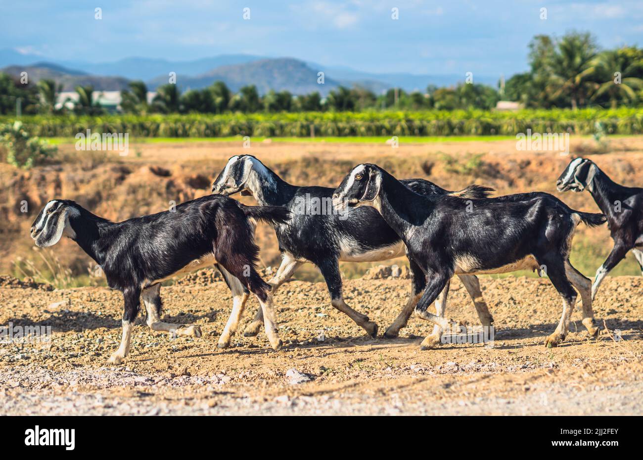 Southlength hi-res stock photography and images - Alamy