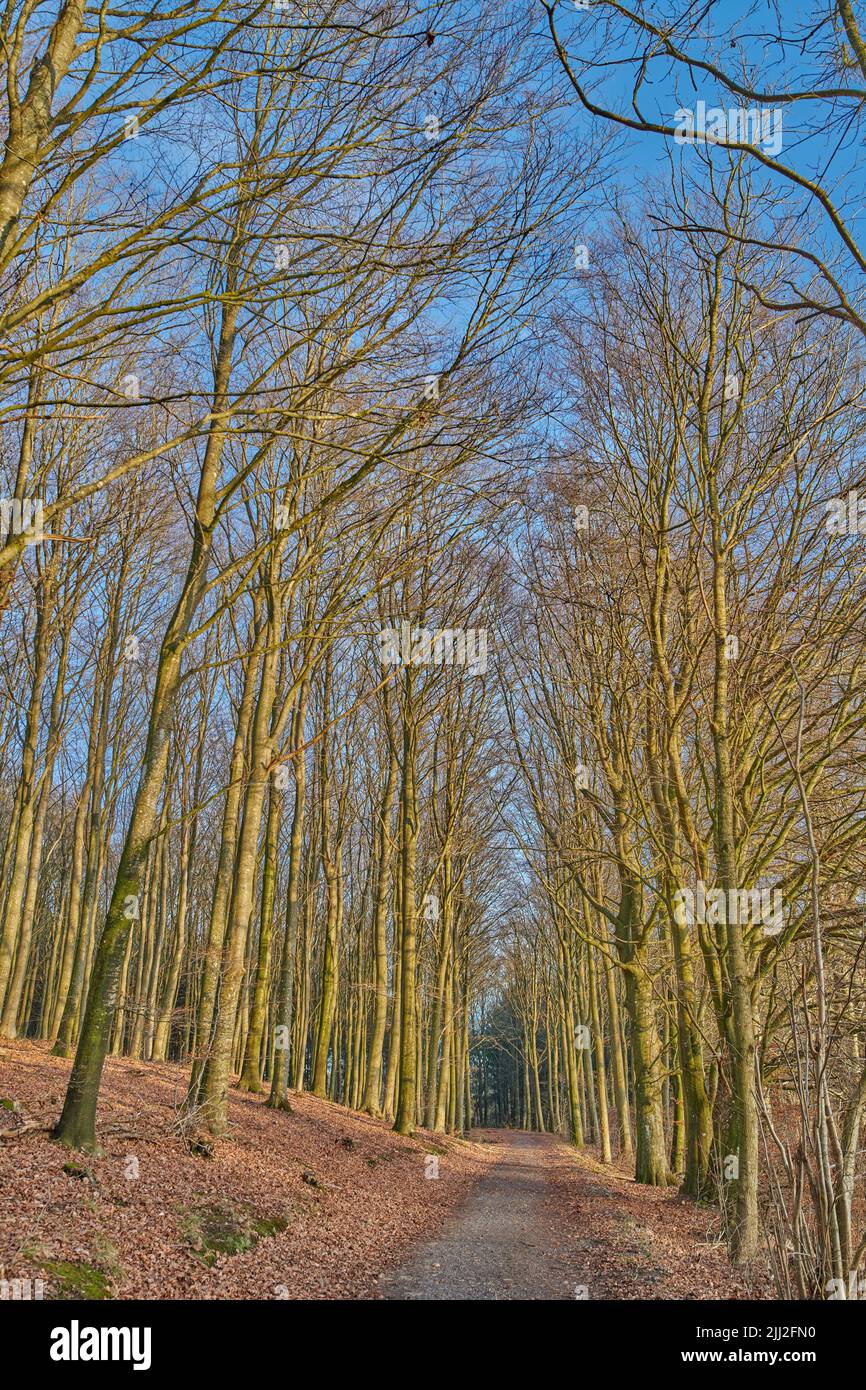 Quiet wild path hi-res stock photography and images - Alamy