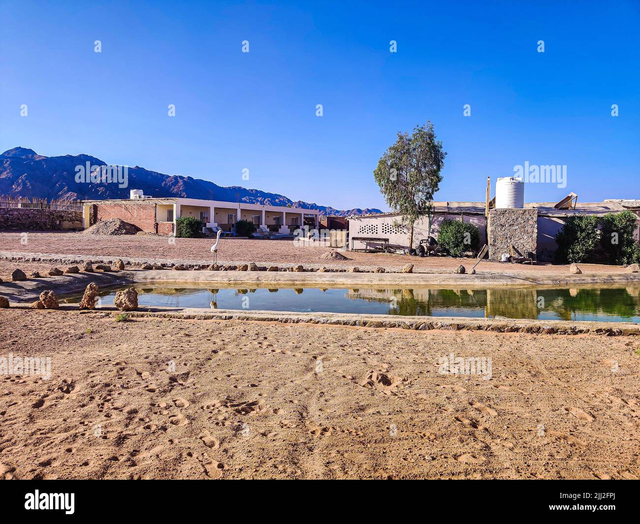 Cottage in a Bedouin Camp on the Sea in Ras Shitan in Oasis in Sinai ...