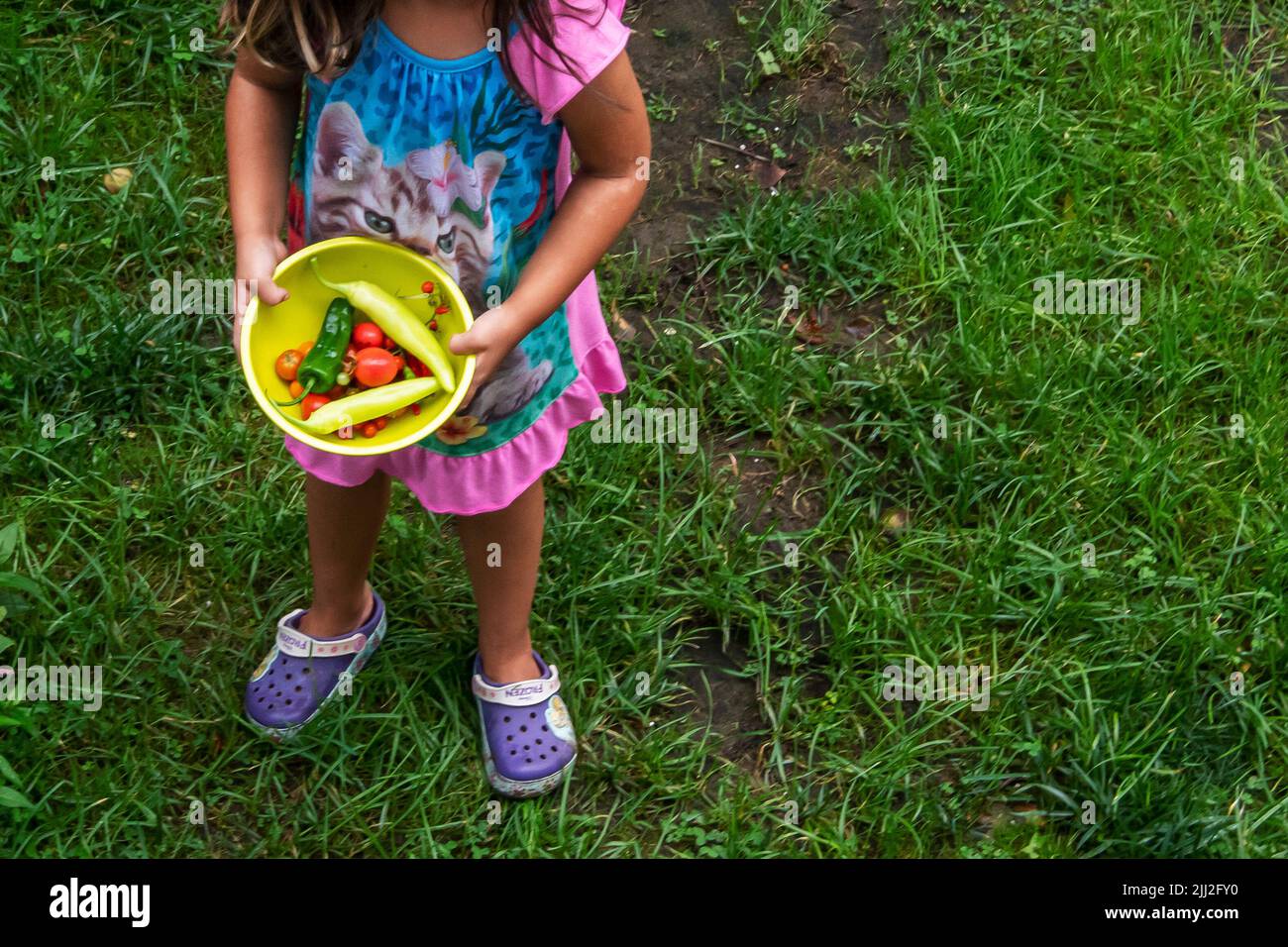 children with organic backyard garden produce Stock Photo - Alamy