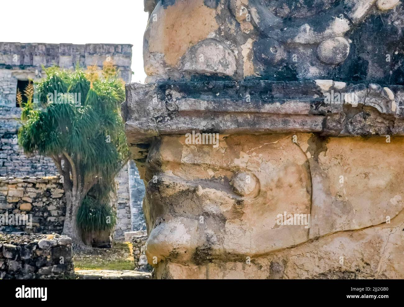 Ancient Tulum ruins Mayan site with temple ruins pyramids and artifacts ...