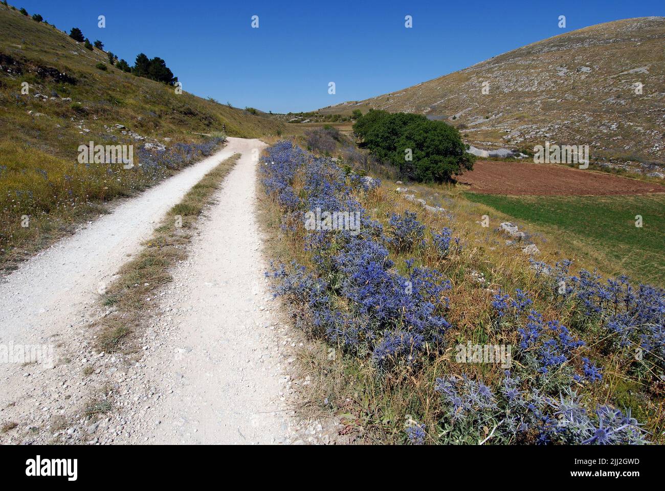 Perspectives and Italian landscapes Stock Photo - Alamy