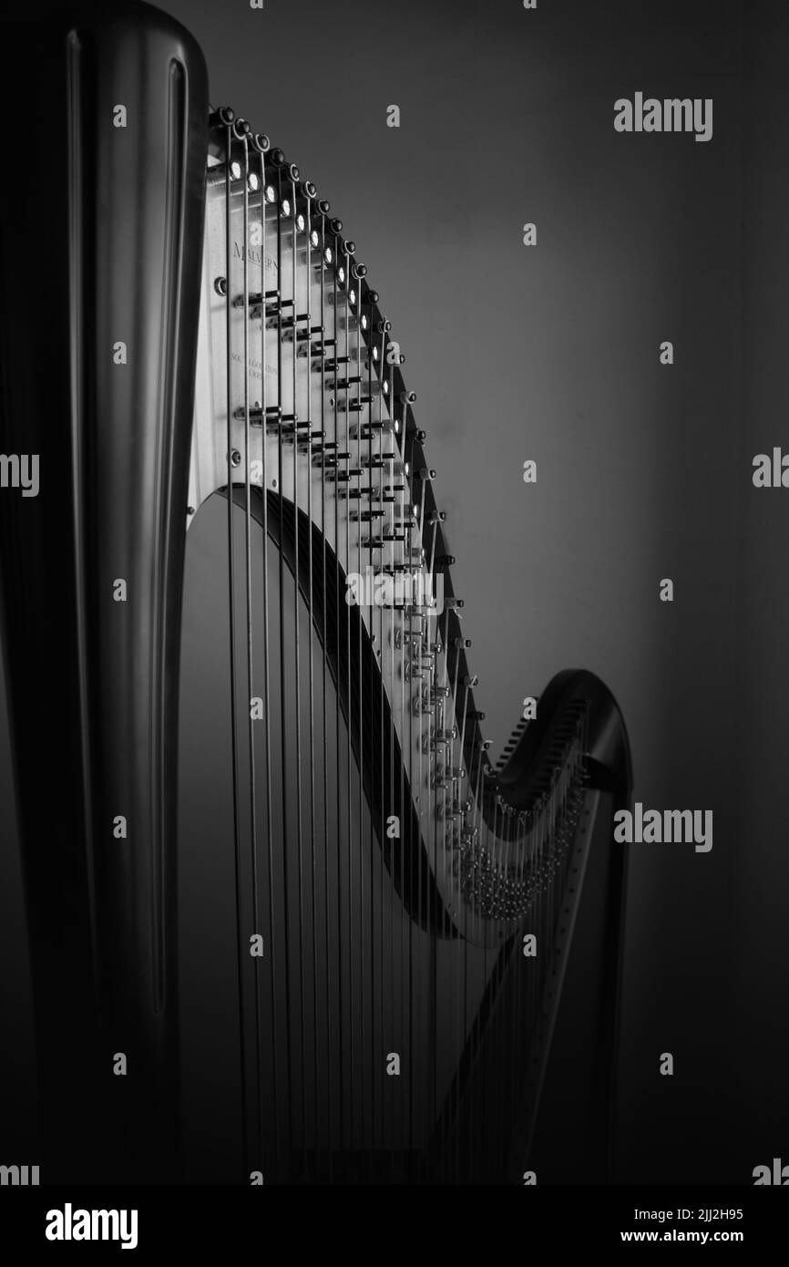 A majestic harp stands alone, its elegant form and strings hinting at ...