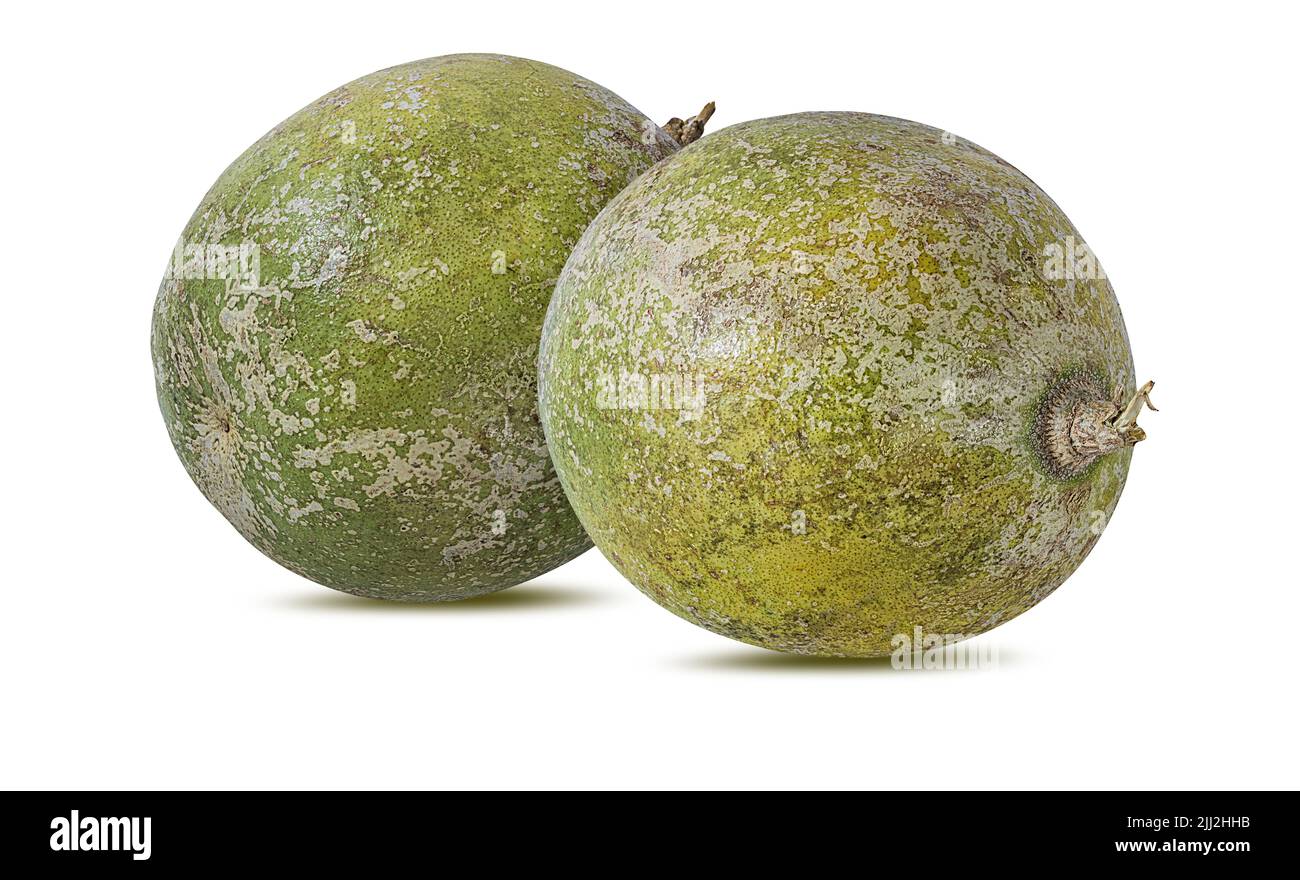 Aegle Marmelos bael fruits or wood apple fruit (bel patthar) on a white ...