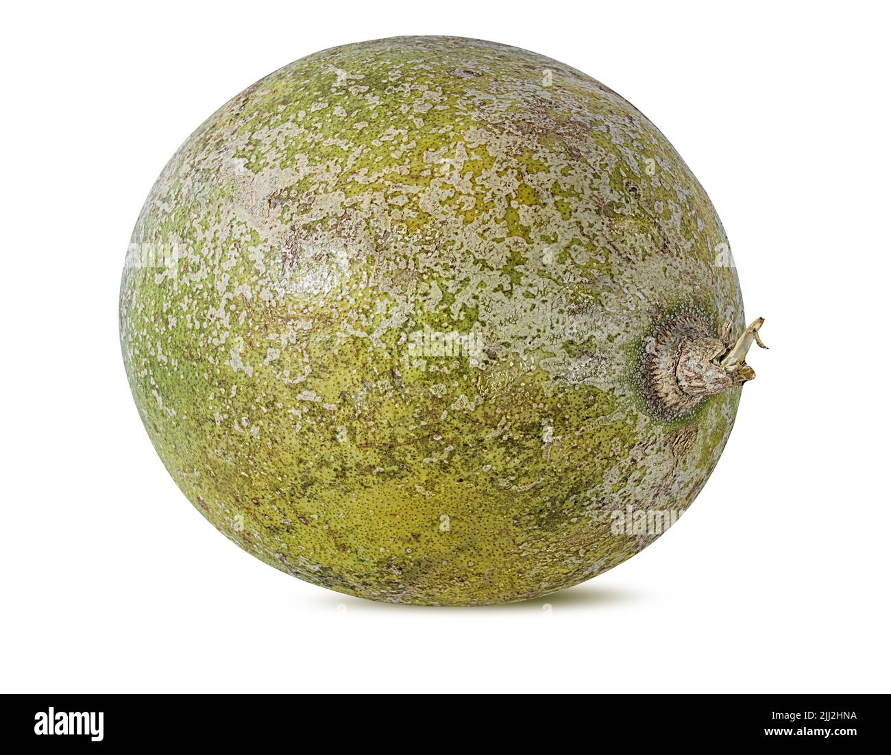 Aegle Marmelos bael fruits or wood apple fruit (bel patthar) on a white ...