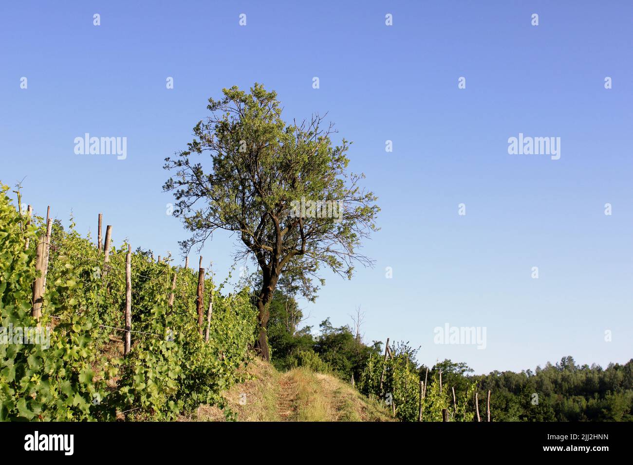Perspectives and Italian landscapes Stock Photo - Alamy