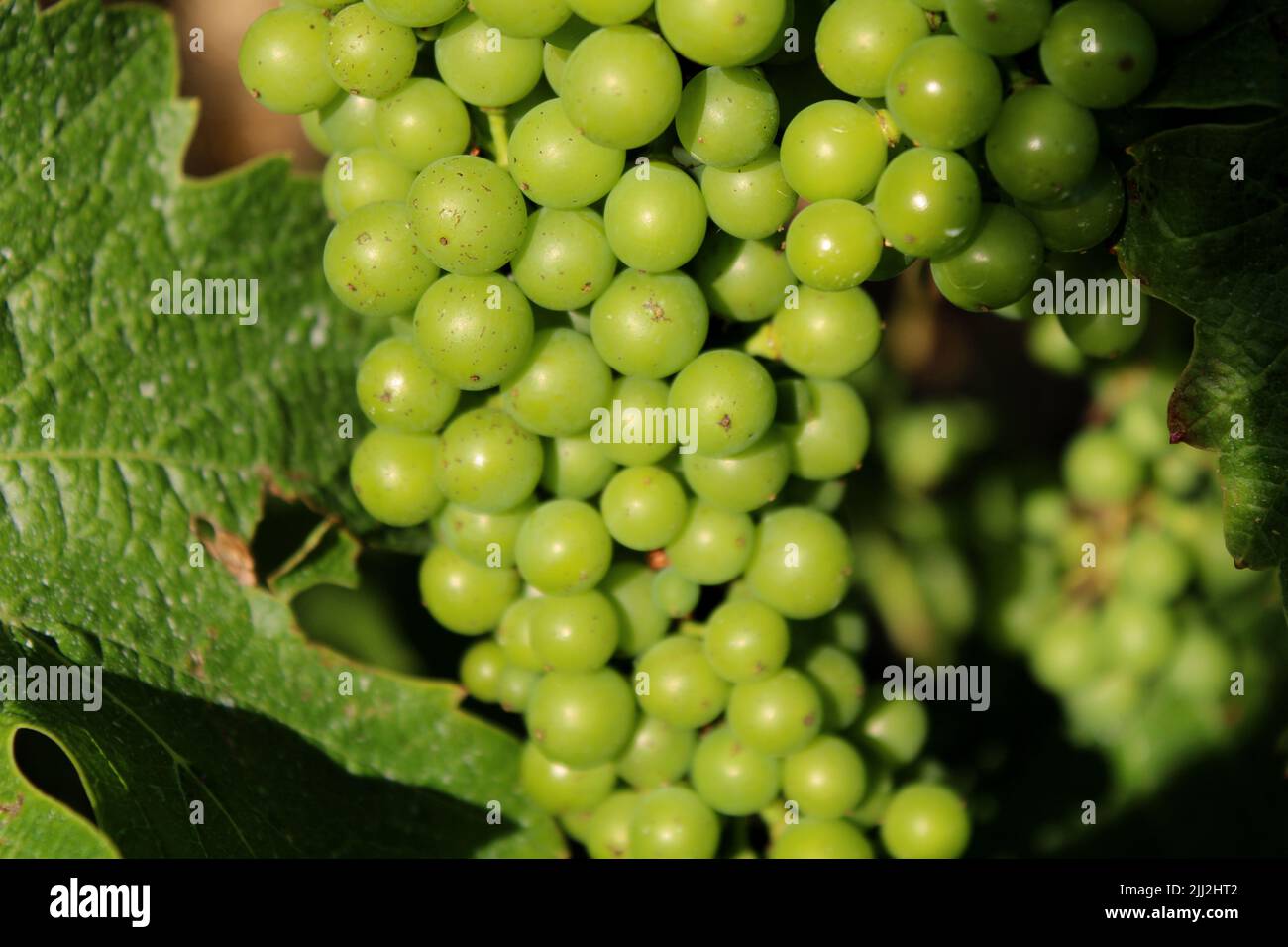 Perspectives and Italian landscapes Stock Photo - Alamy