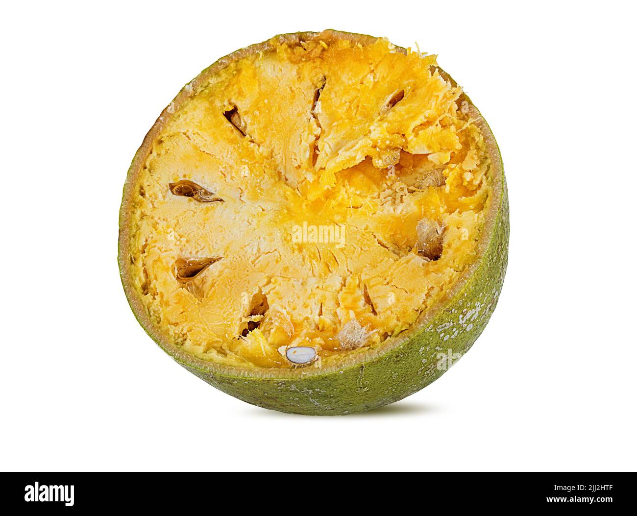 Aegle Marmelos bael fruits or wood apple fruit (bel patthar) on a white ...