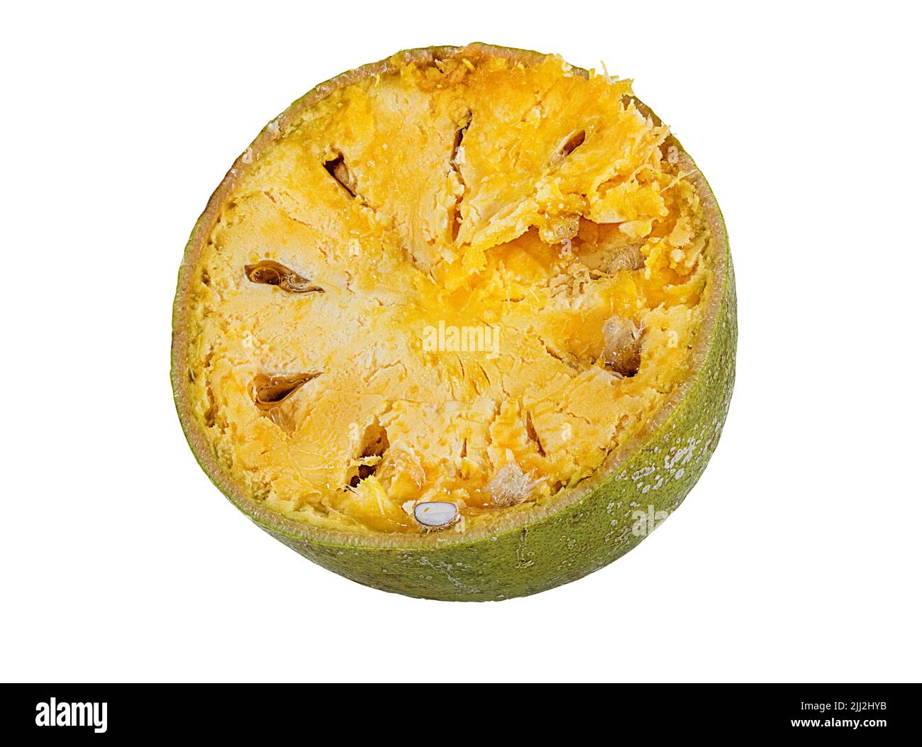 Aegle Marmelos bael fruits or wood apple fruit (bel patthar) on a white ...