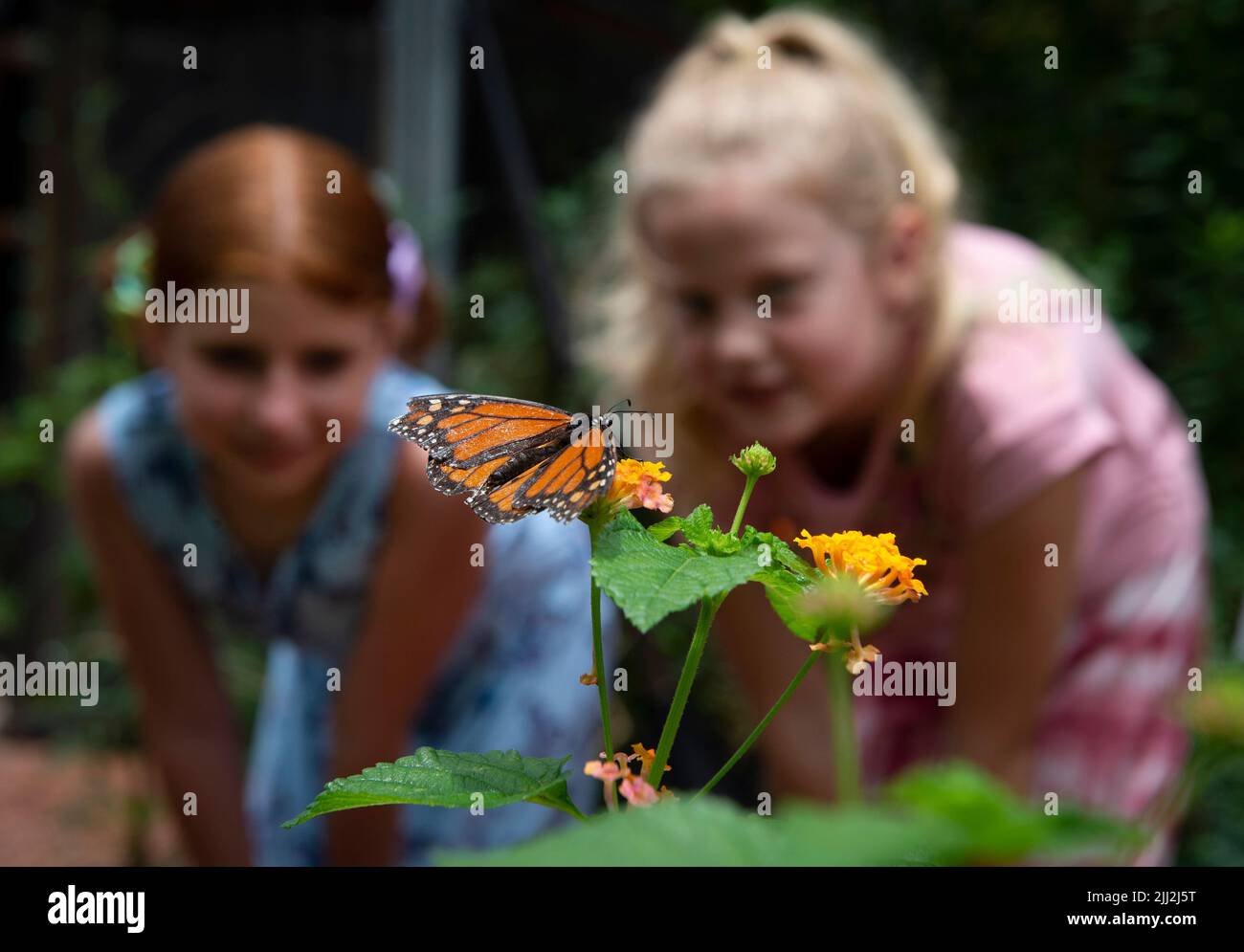 Kennesaw, Georgia, USA. 9th July, 2022. Stella and Esther Bickford of ...