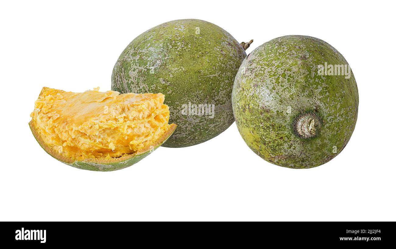 Aegle Marmelos bael fruits or wood apple fruit (bel patthar) on a white ...