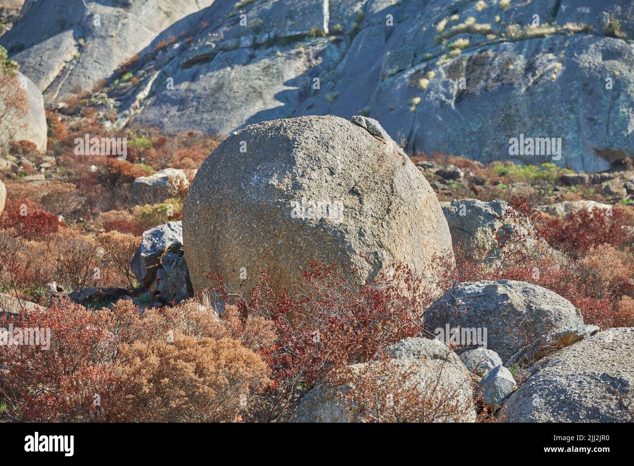 Copy space of a big boulder on a rocky mountain with dry plants and ...