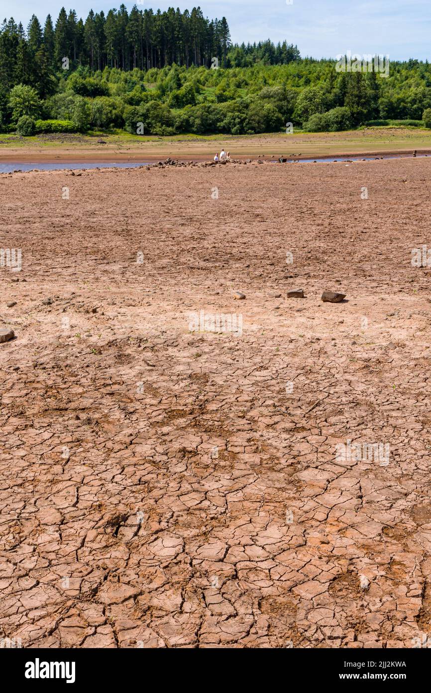 Baked, cracked, dry soil at a near empty reservoir during a heatwave ...