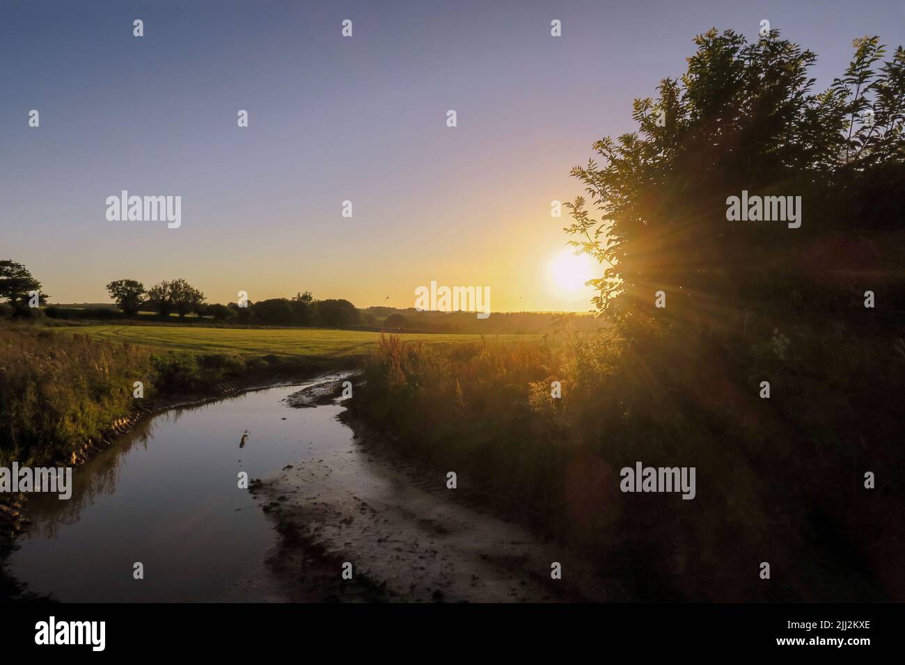 Puddle sun hi-res stock photography and images - Alamy