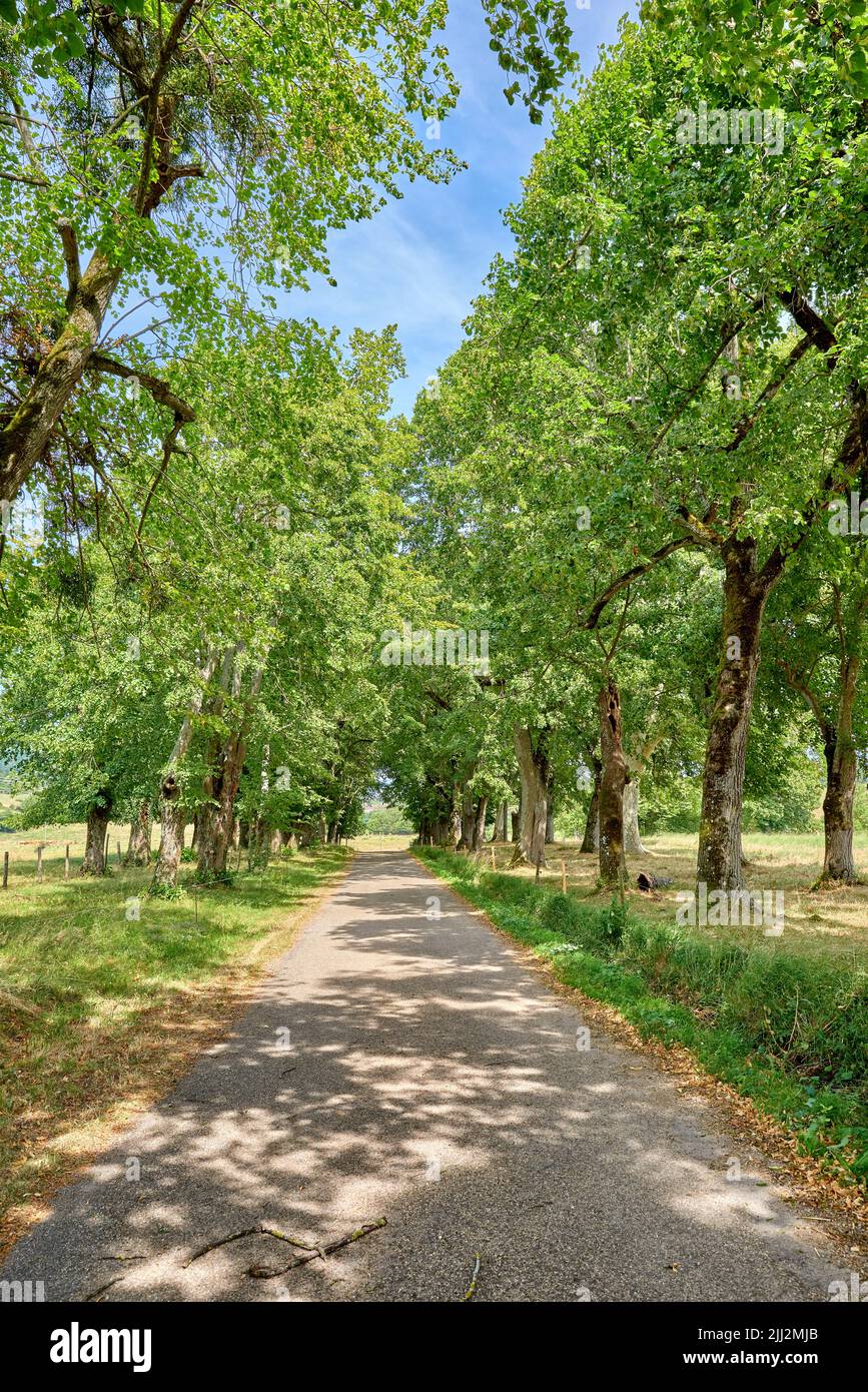 French scenery hi-res stock photography and images - Alamy