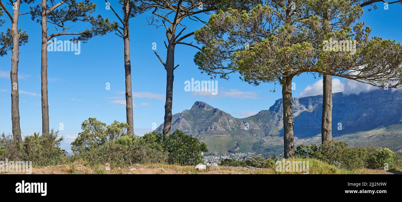 Beautiful landscape view of a mountain in nature. Natural green trees ...
